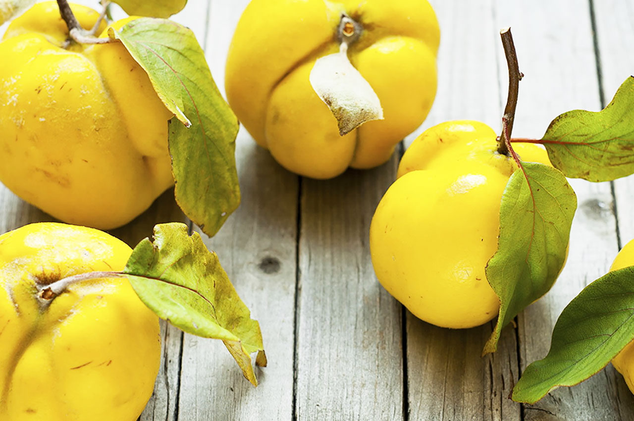 Marmelada com um gosto arrojado? Só com os Marmelos da Frutas do Cávado ...