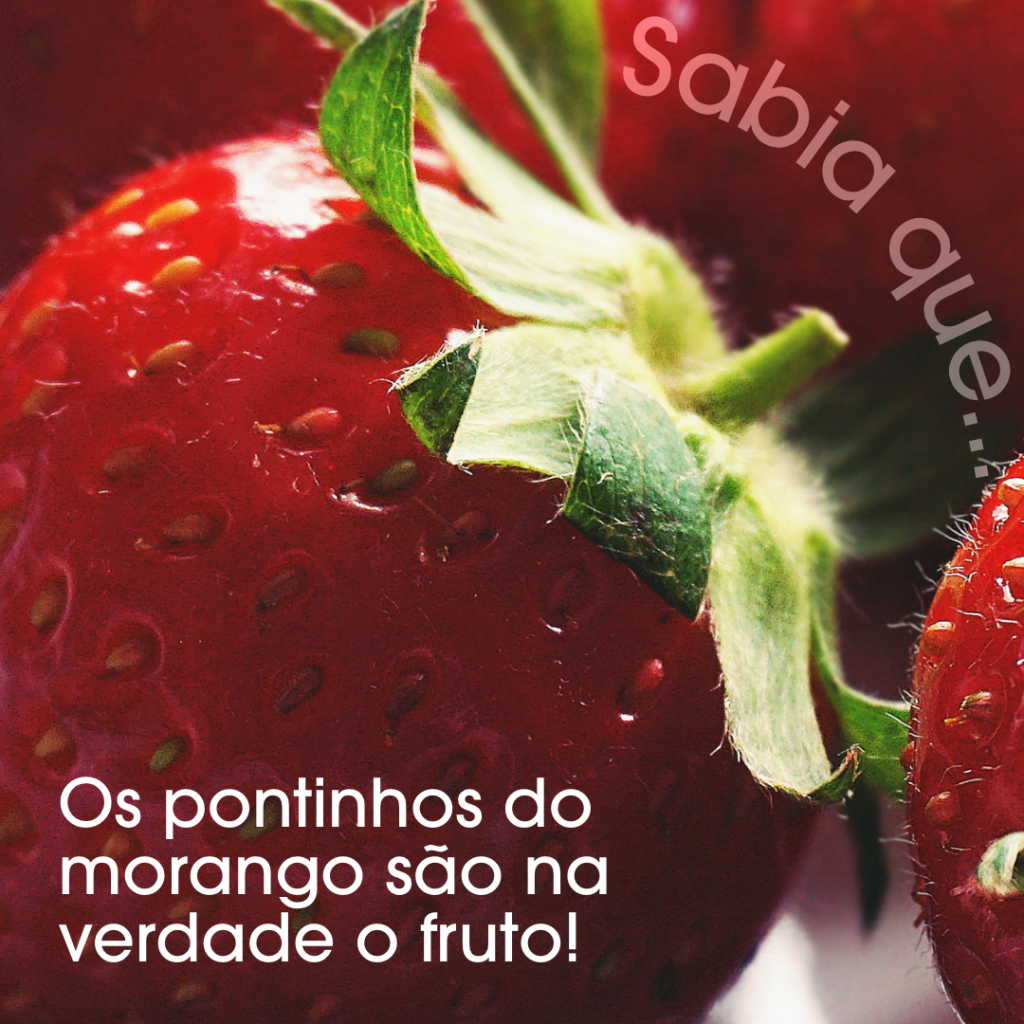 Os pontinhos do morango. - Frutas do Cávado